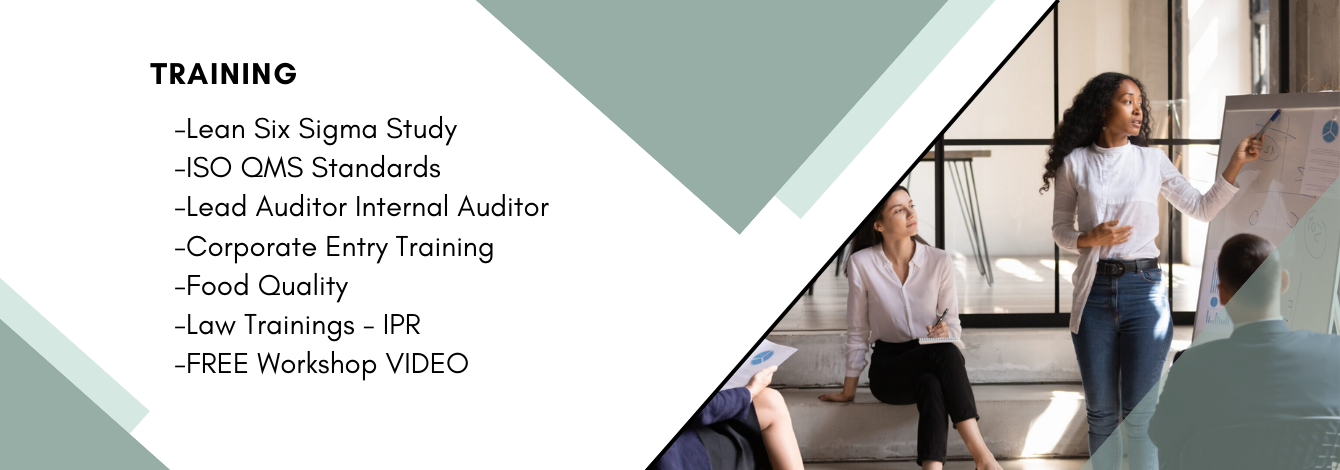 VQMS - six sigma certification, legal consultancy services near me